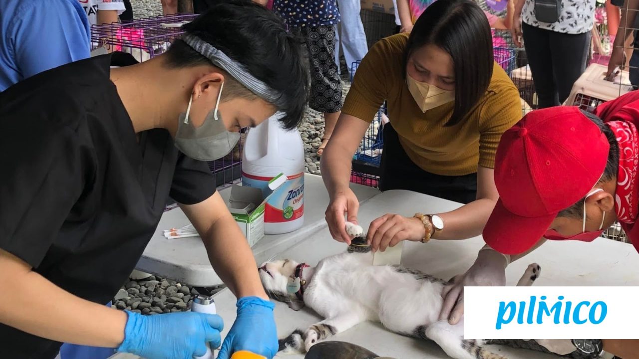 Pilmico quyên góp cho Kỷ niệm 20 năm thành lập của Animal Kingdom ...