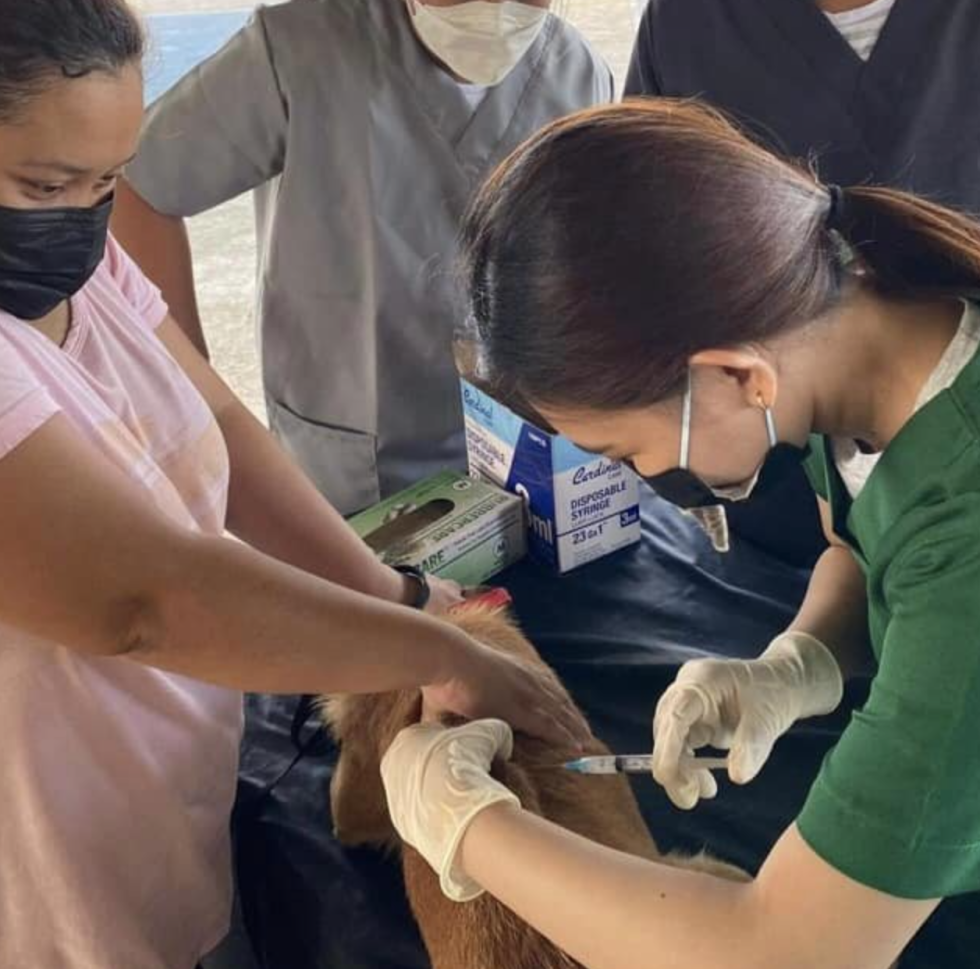Pilmico and Animal Kingdom Foundation mark Rabies Awareness Month with ...
